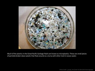 Great Pacific Garbage Patch | PPTX
