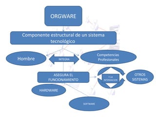 Caja Negra Y Orgware | PPT