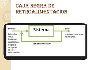 Caja negra!! | PPTX