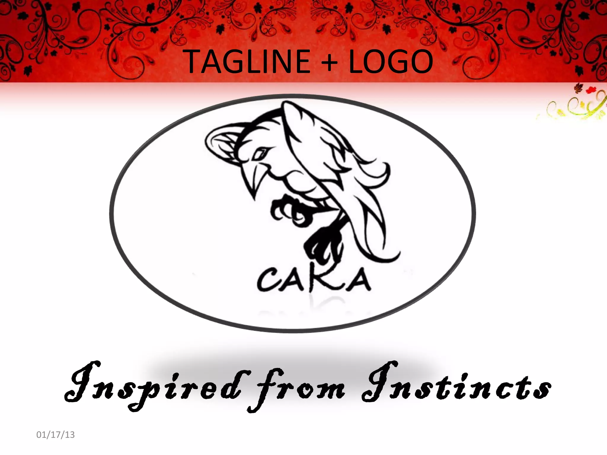 Caka t shirts - New Business Plan | PPT