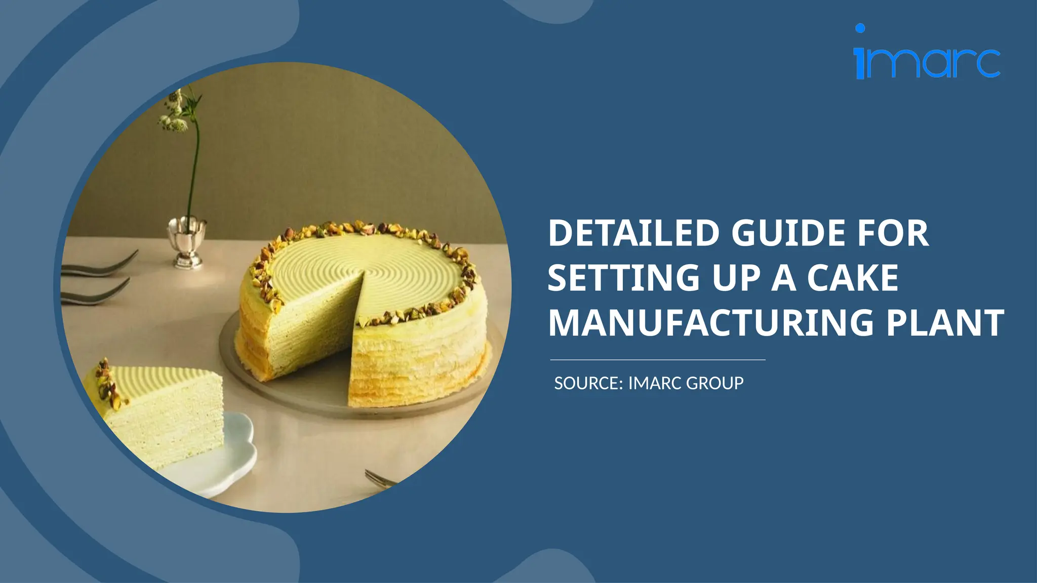 Cake Manufacturing Plant Project Report.pptx