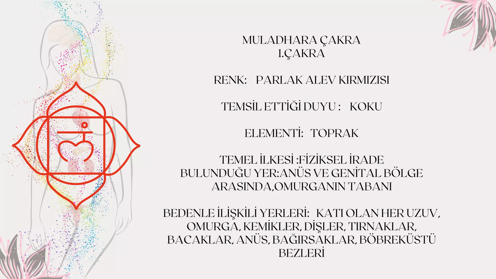 Çakralar Özellikleri ve Bedendeki Yerleri | PDF