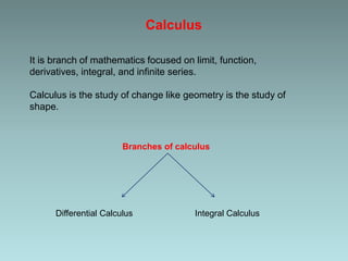 Calculus | PDF