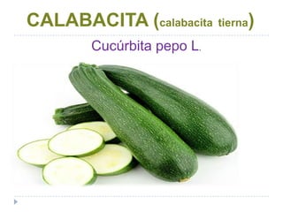 Calabacita Cucurbita pepo | PPTX