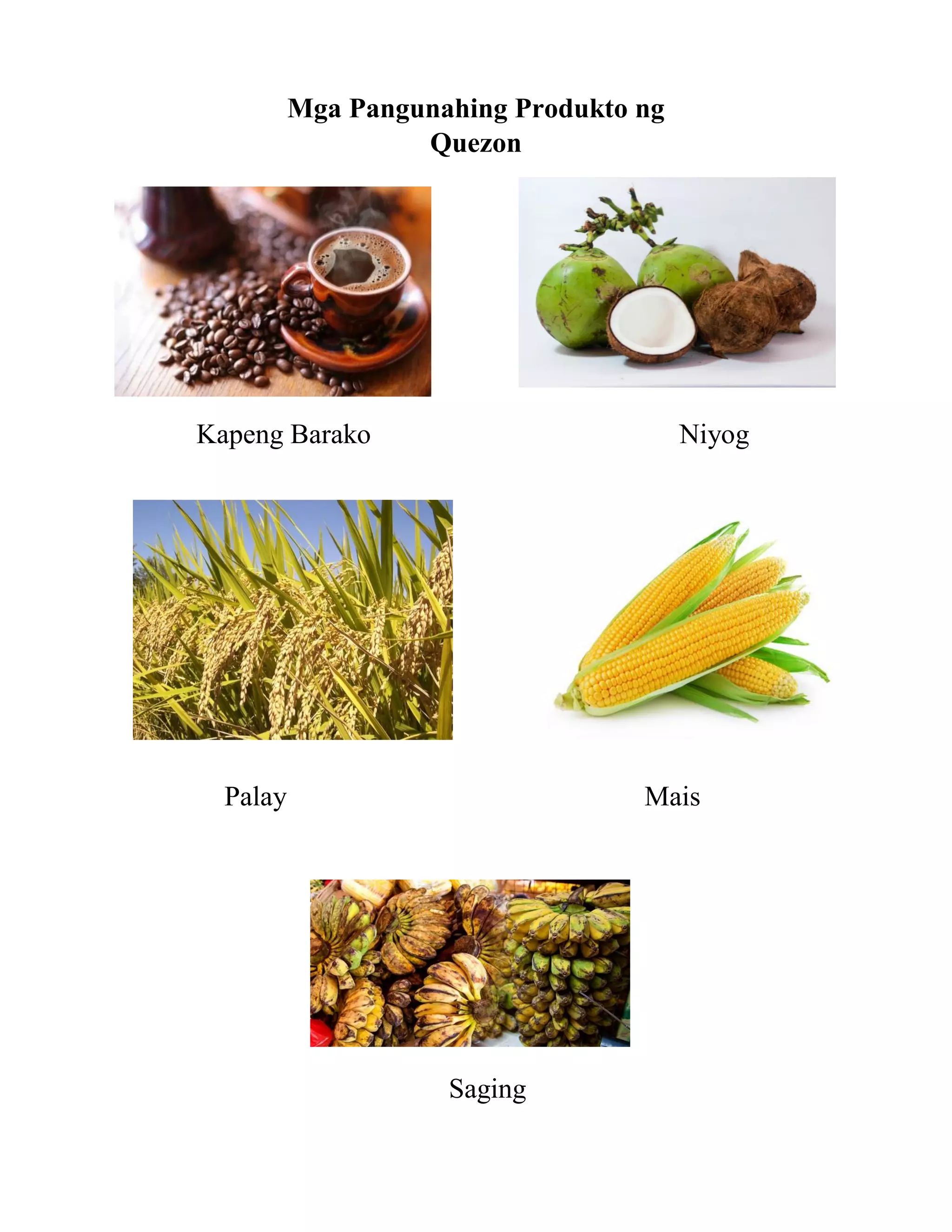 Produkto ng Calabarzon | PDF