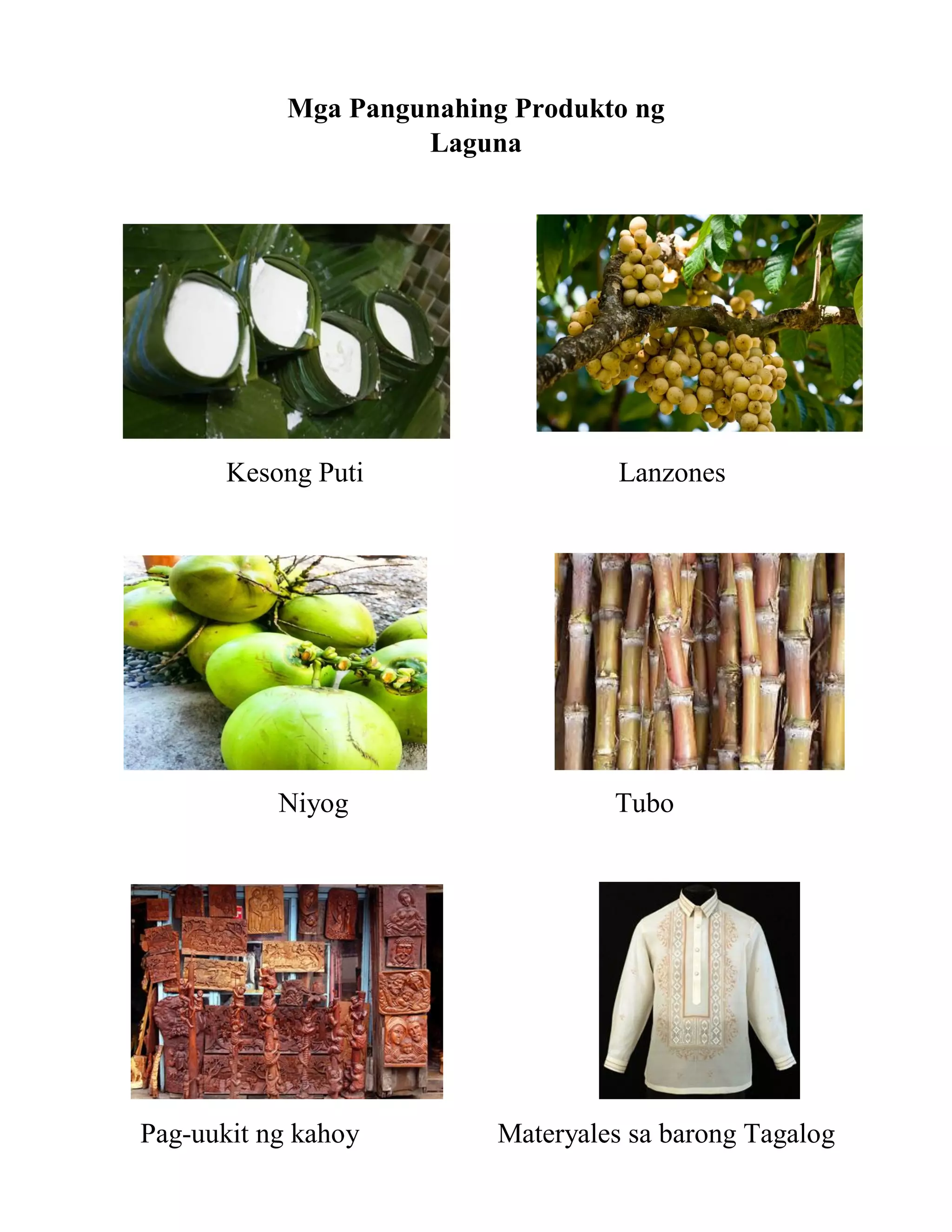 Produkto ng Calabarzon | PDF