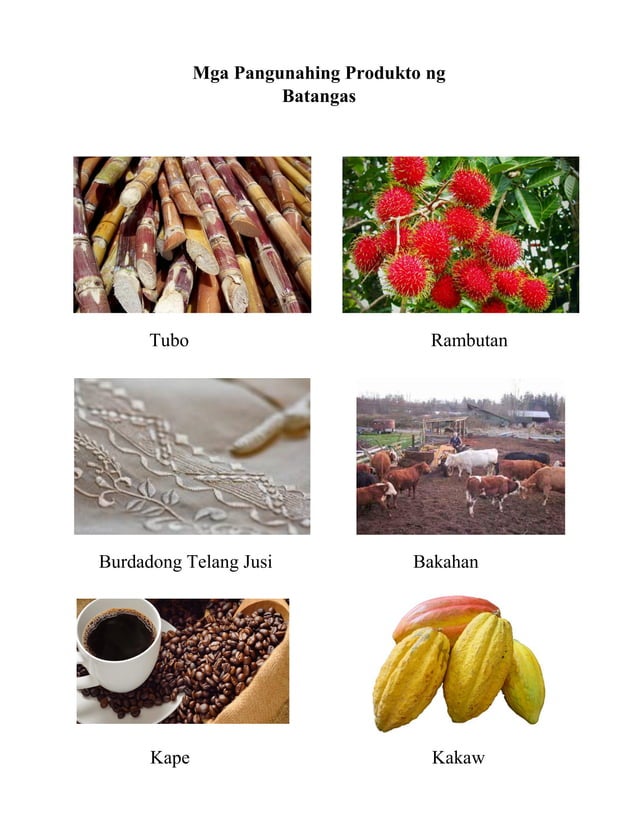 Produkto ng Calabarzon | PDF