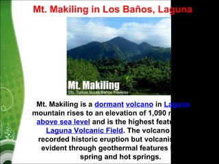 SS Report CALABARZON | PPT