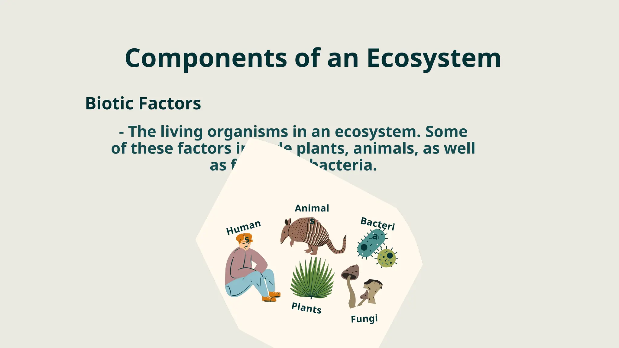 CALAGOS-ANN-CORRIEN-COMPONENTS-OF-ECOSYSTEM.pptx