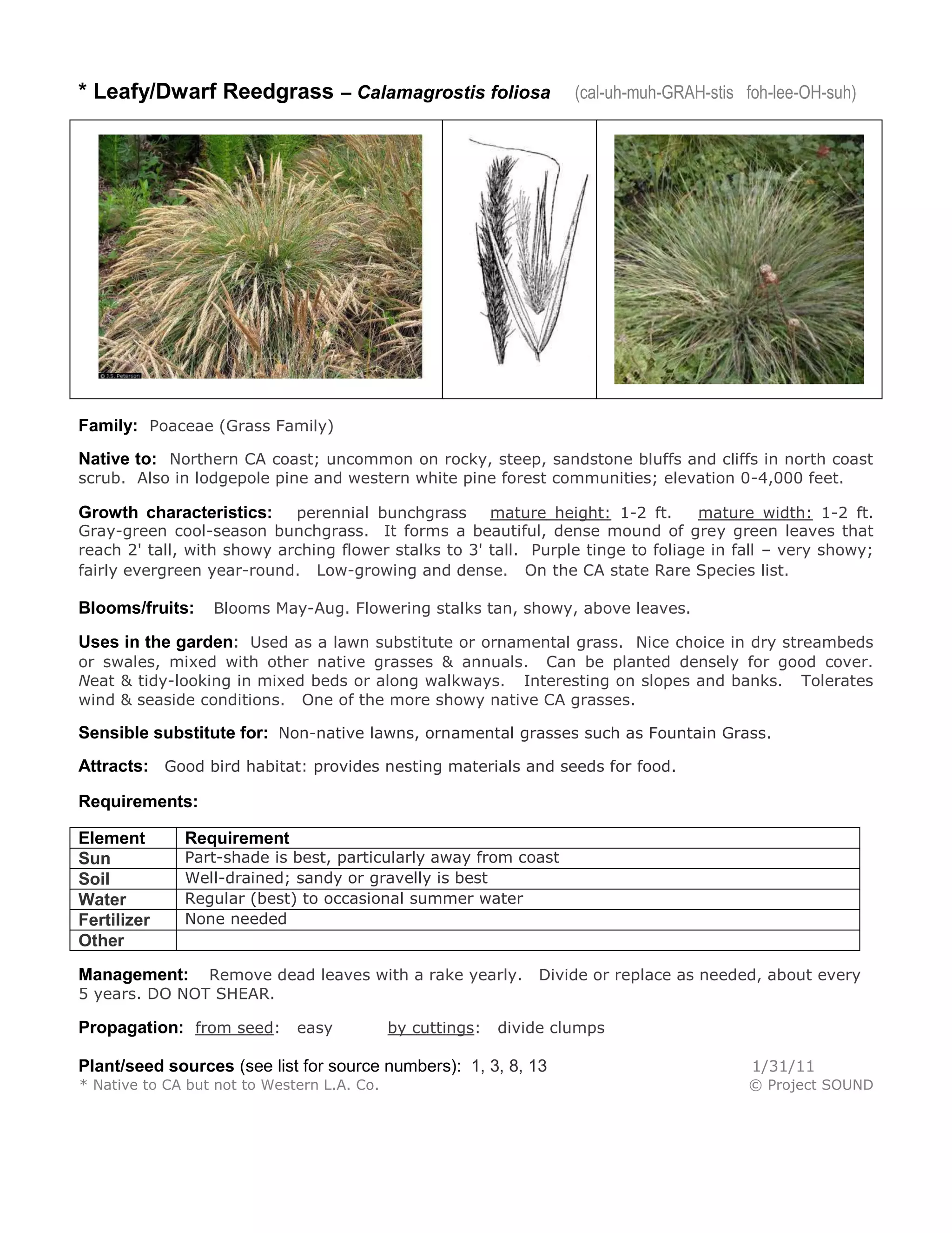 Calamagrostis foliosa | PDF | Gardening | Home & Garden