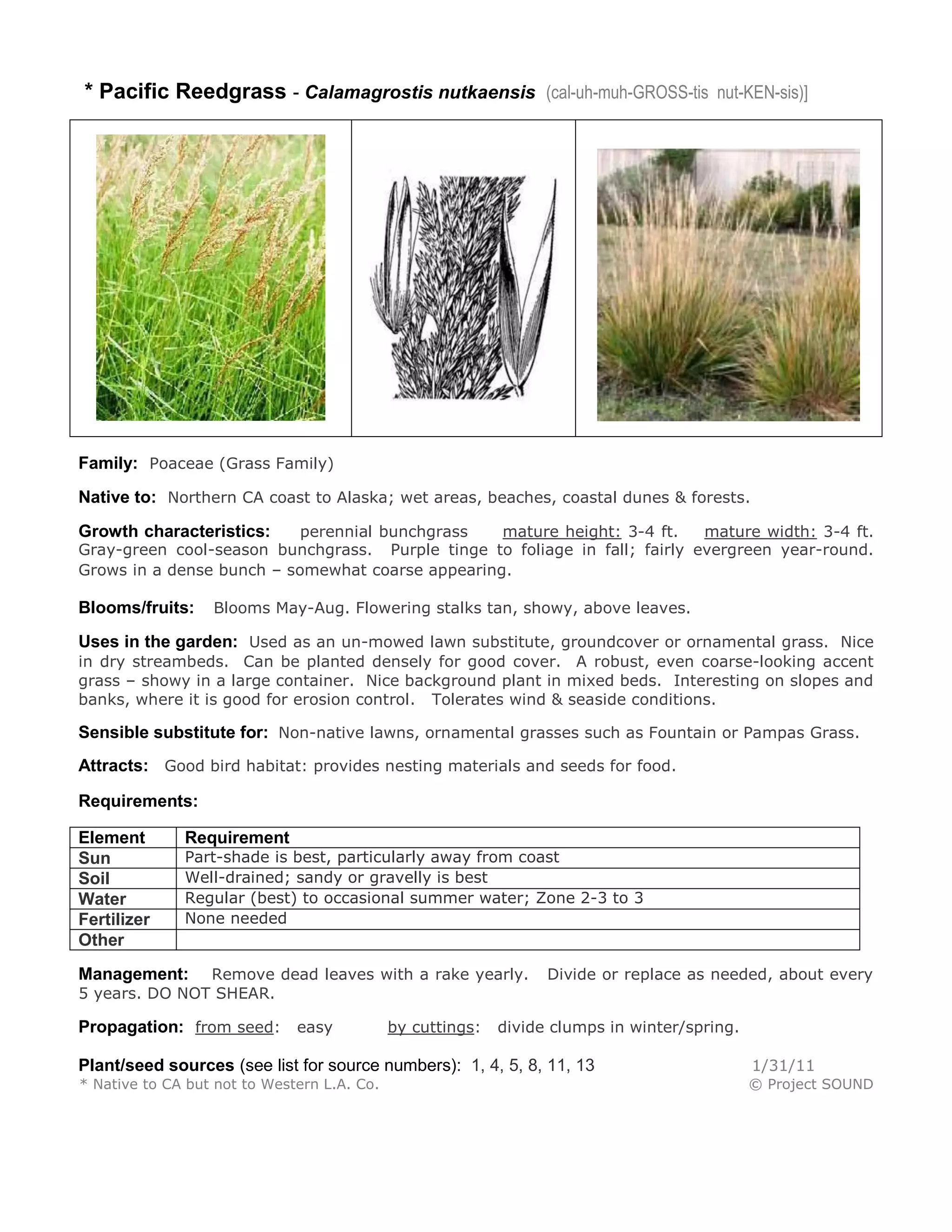 Calamagrostis nutkaensis | PDF