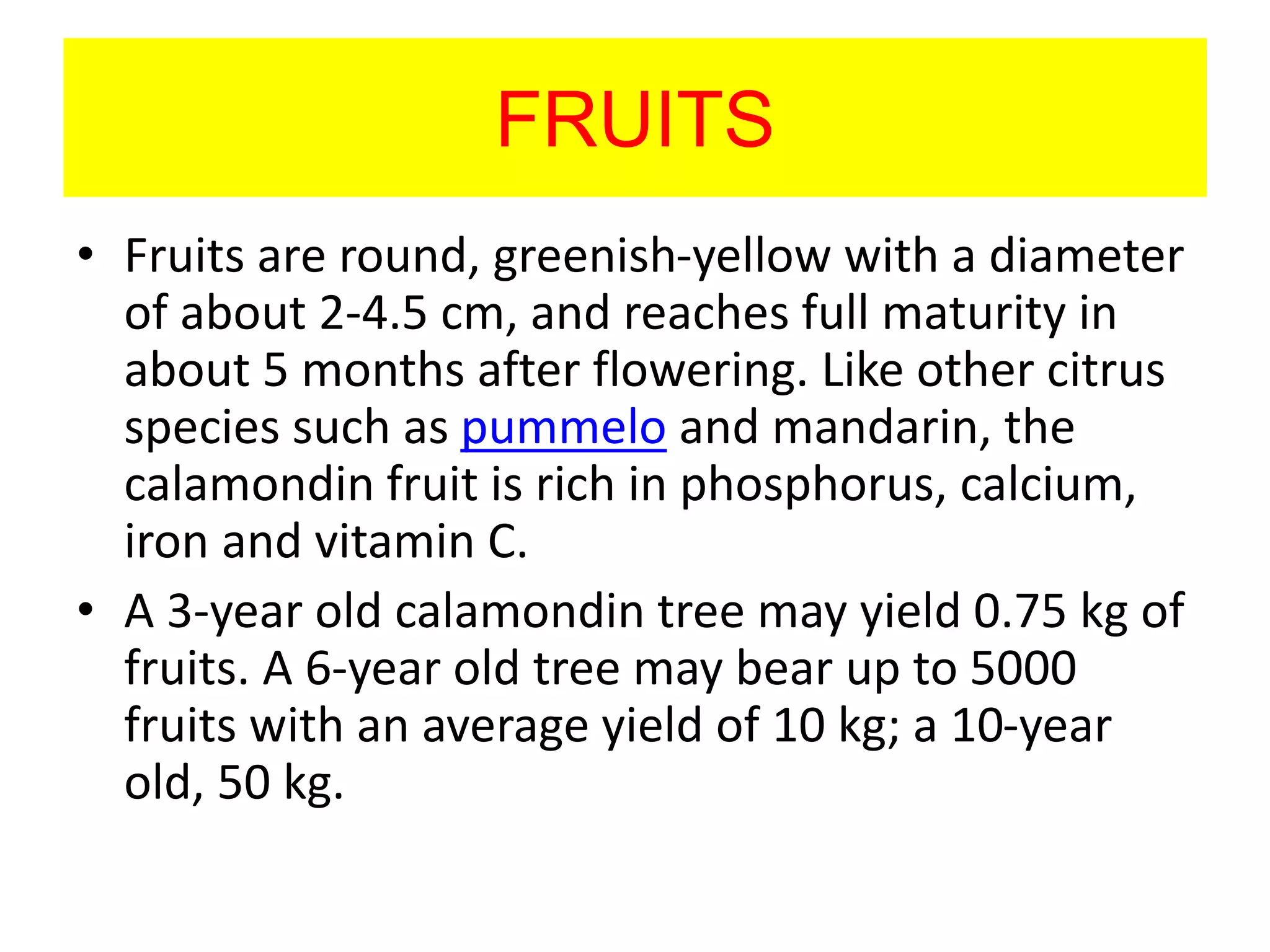 CALAMANSI CULTIVATION.pptx