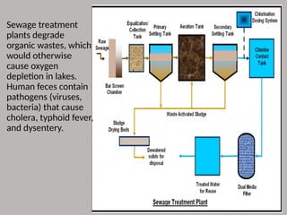 WATER POLLUTION IN ENVIRONMENTAL SCIENCE | PPTX