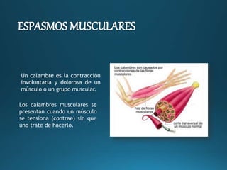 Calambres | PPTX