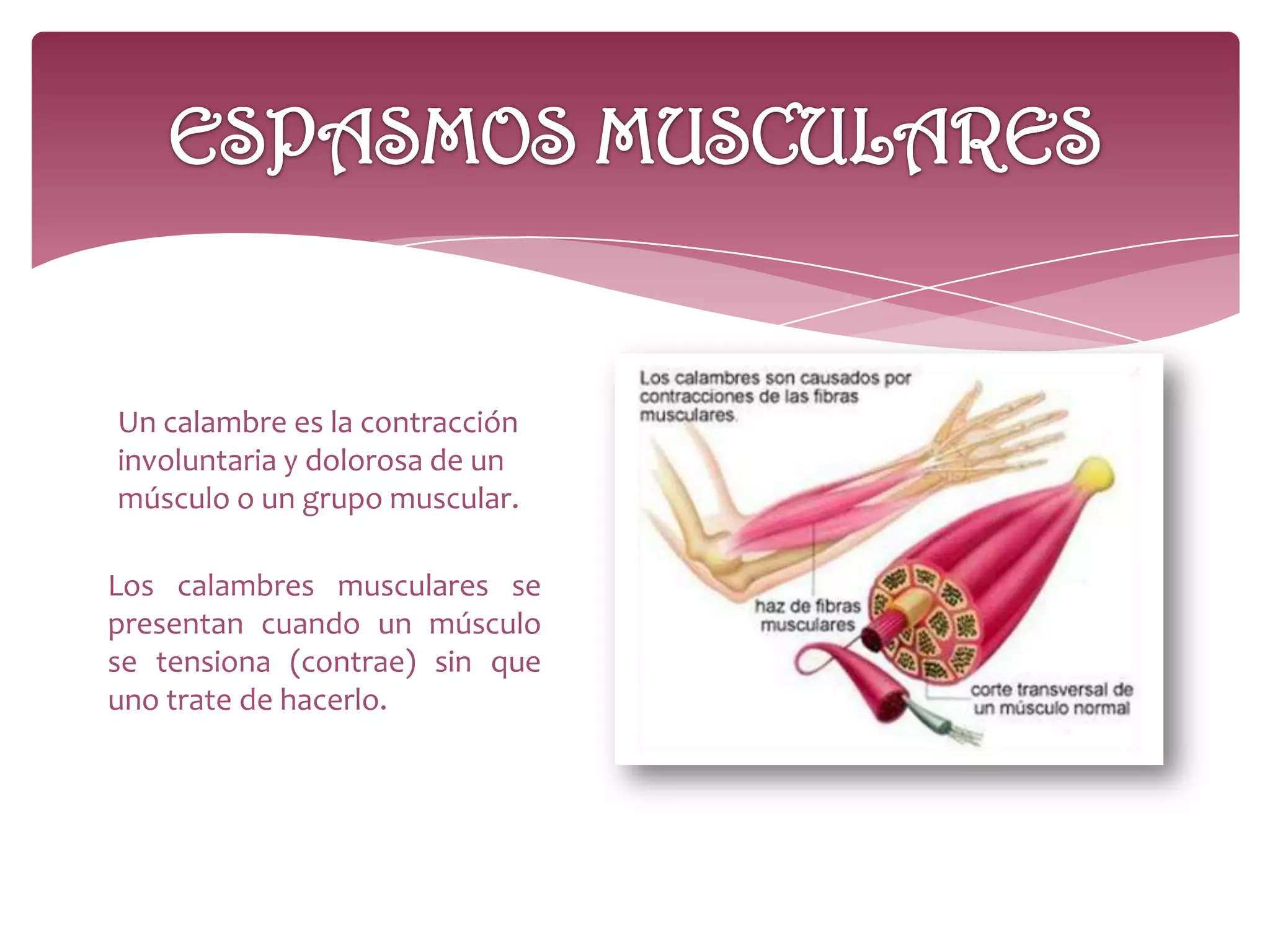 Calambres musculares- Espasmos musculares | PPTX | Physical Therapy ...