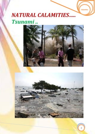 Calamities | PDF