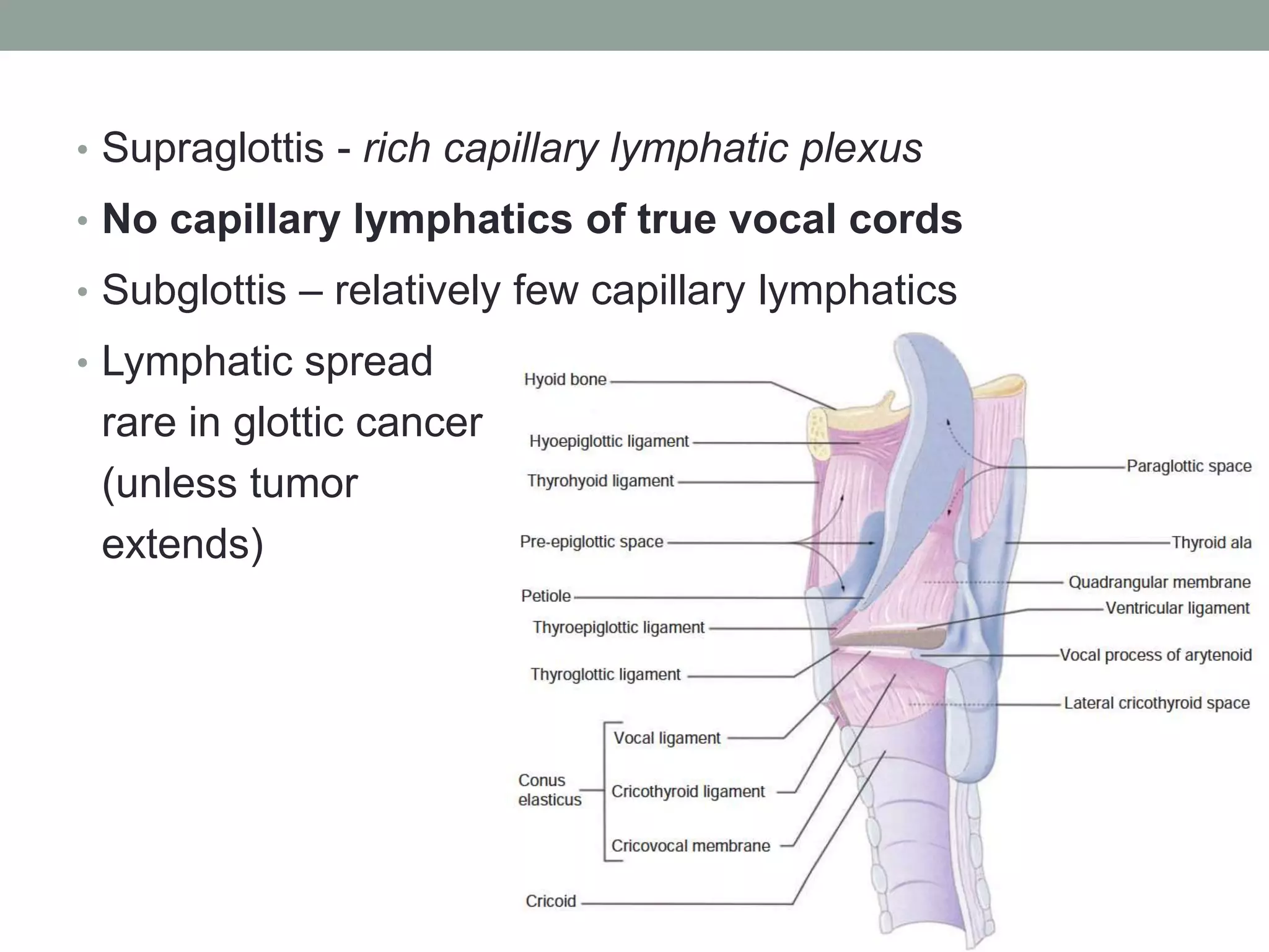Ca larynx principles of management | PPTX