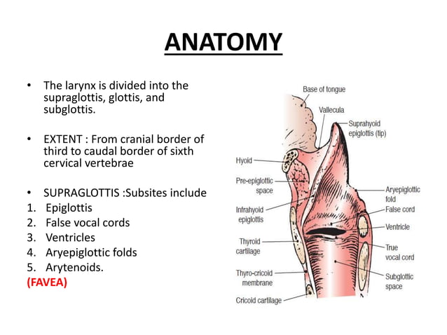 LARYNGEAL CANCER MANAGEMENT | PPTX | Ear, Nose and Throat Conditions | Diseases and Conditions