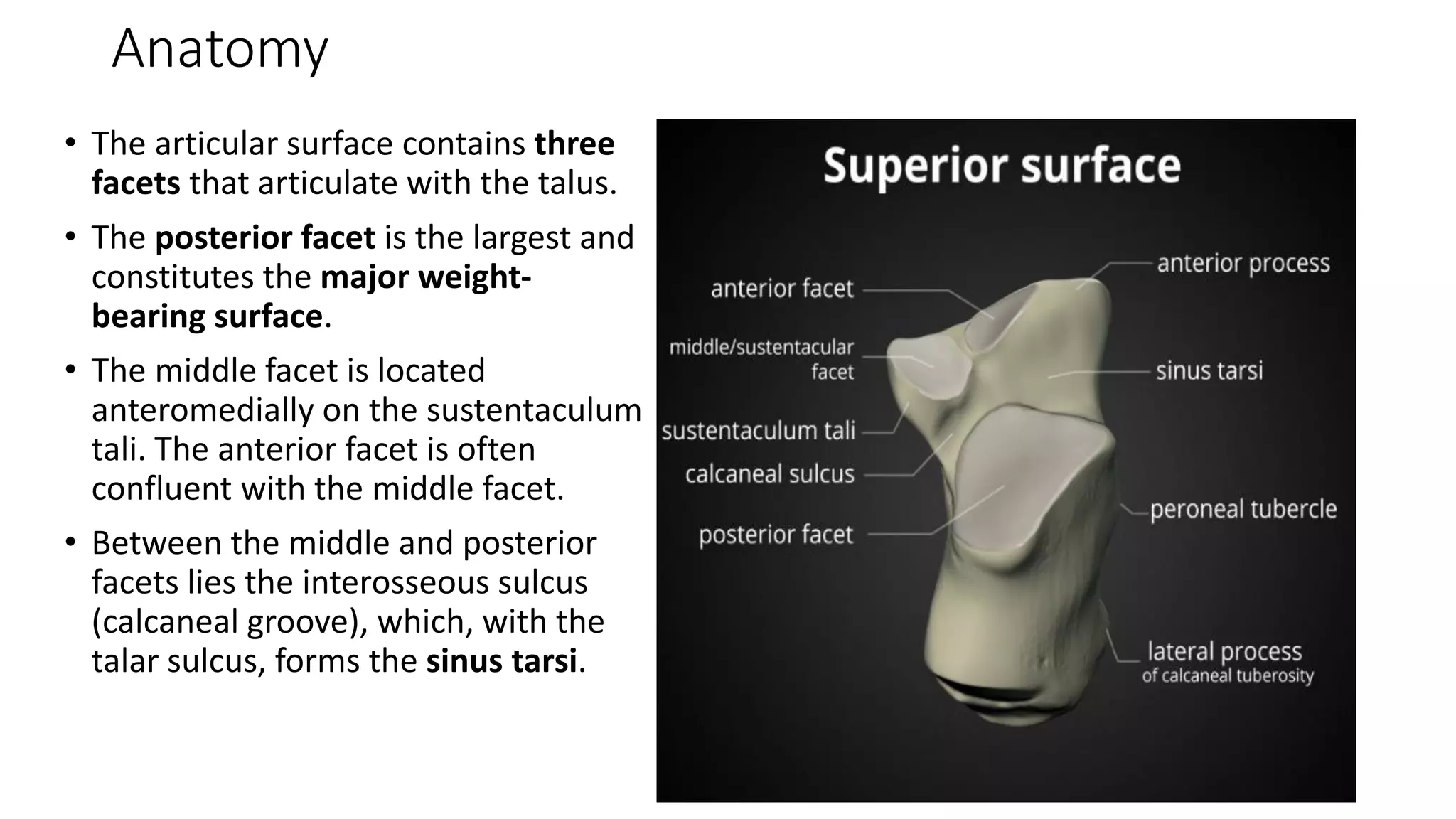 Calcaneal fractures | PDF