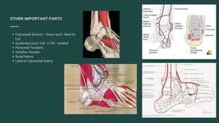 Malunited Calcaneus Fractures | PDF