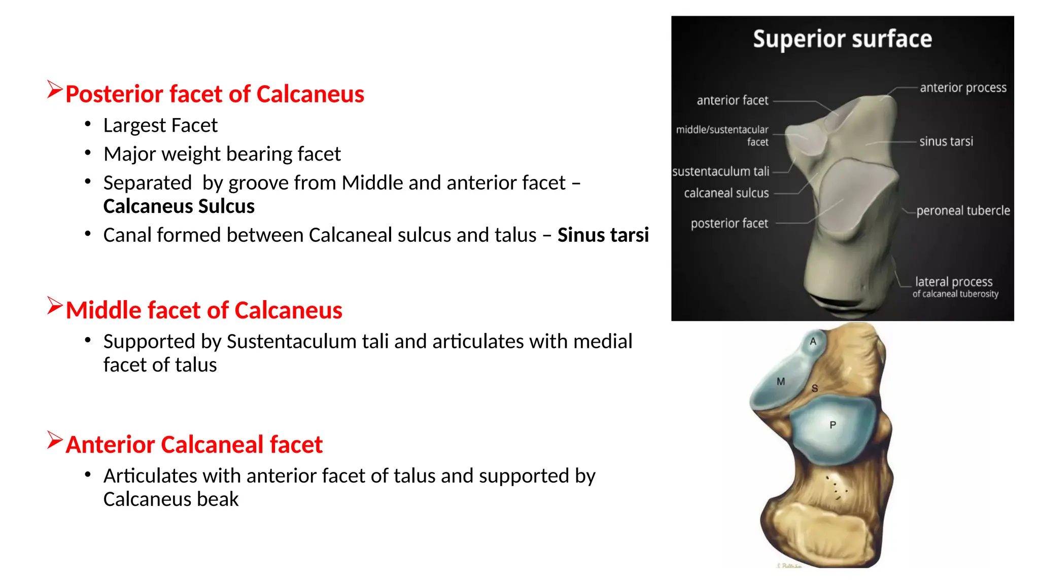 CALCANEAL FRACTURES PPT and JOURNAL.pptx