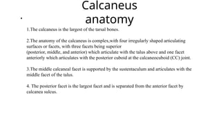 Calcaneous fractures PPT kjnnksjadnjnk.pptx