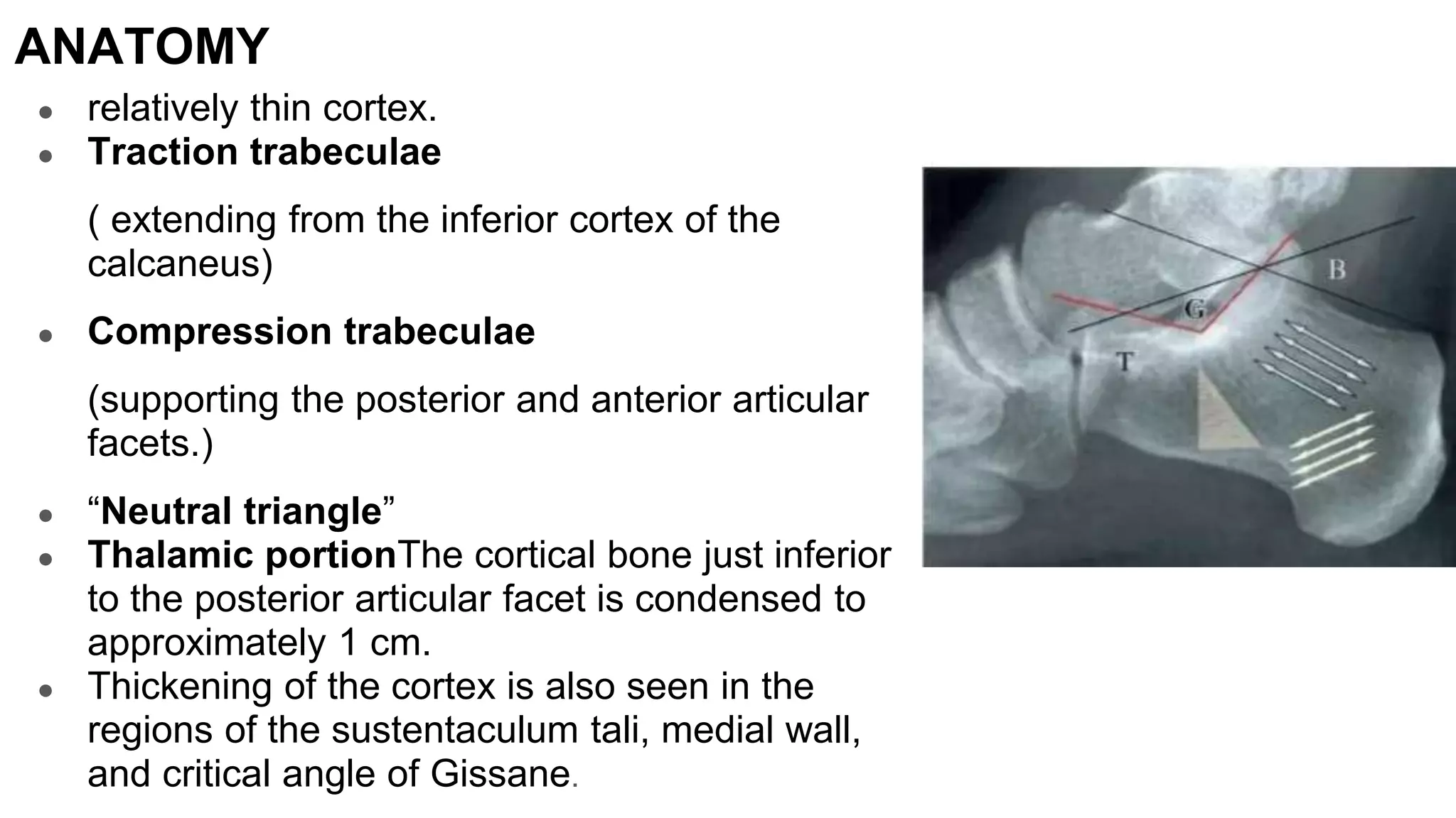 FRACTURES of CALCANEUS AND TALUS | PPTX | Death, Injury, or Military ...