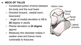 FRACTURES of CALCANEUS AND TALUS | PPTX