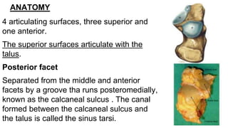 FRACTURES of CALCANEUS AND TALUS | PPTX