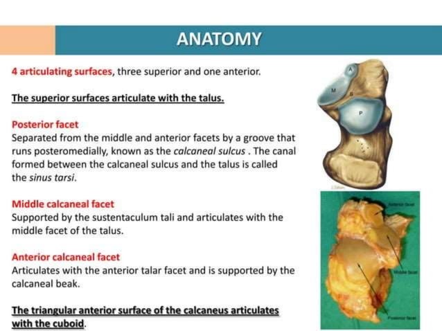CALCANEUM FRACTURES.pptx