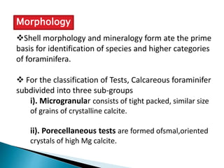 Calcareous microfossils by Rathinavel | PPTX