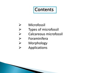 Calcareous microfossils by Rathinavel | PPT
