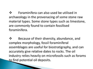 Calcareous microfossils by Rathinavel | PPT