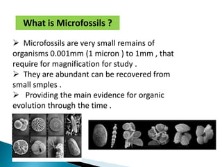Calcareous microfossils by Rathinavel | PPTX