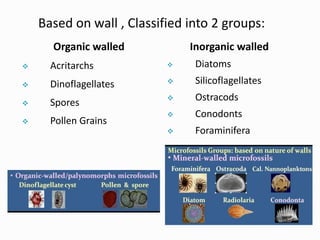 Calcareous microfossils by Rathinavel | PPTX