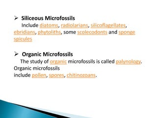 Calcareous microfossils by Rathinavel | PPTX