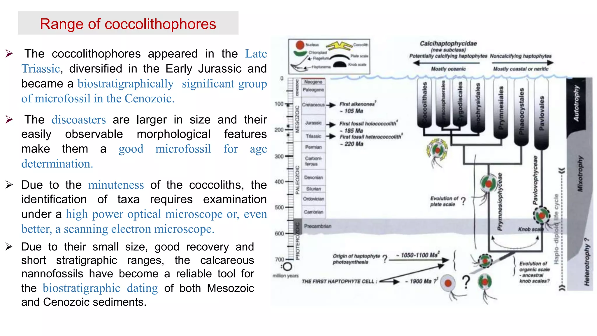 Calcareous_Nanno_Plankton[1].pptx