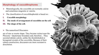 Calcareous_Nanno_Plankton[1].pptx