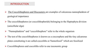 Calcareous_Nanno_Plankton[1].pptx