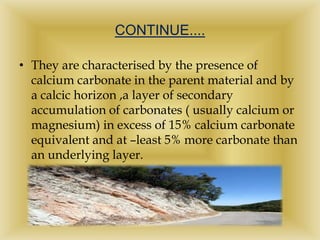 Calcareous soil , Origin, Properties and Distribution in India (IGKV ...
