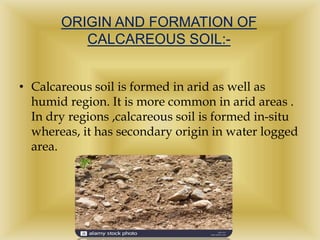 Calcareous soil , Origin, Properties and Distribution in India (IGKV ...
