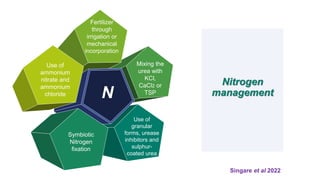 Calcareous soils and its management.pptx