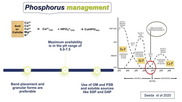 Calcareous soils and its management.pptx | Science