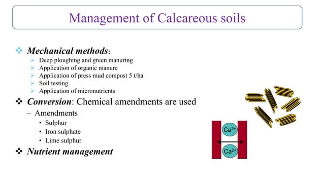 Calcareous soils and its management.pptx | Science