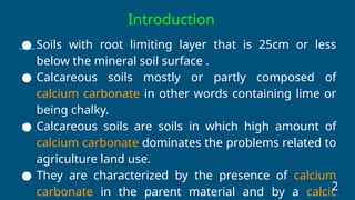 Calcareous soils ppt1.pptxgftrdtfaytydrt | PPTX