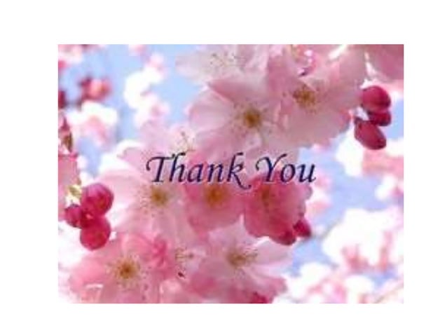 Orbital Calcification | PPT