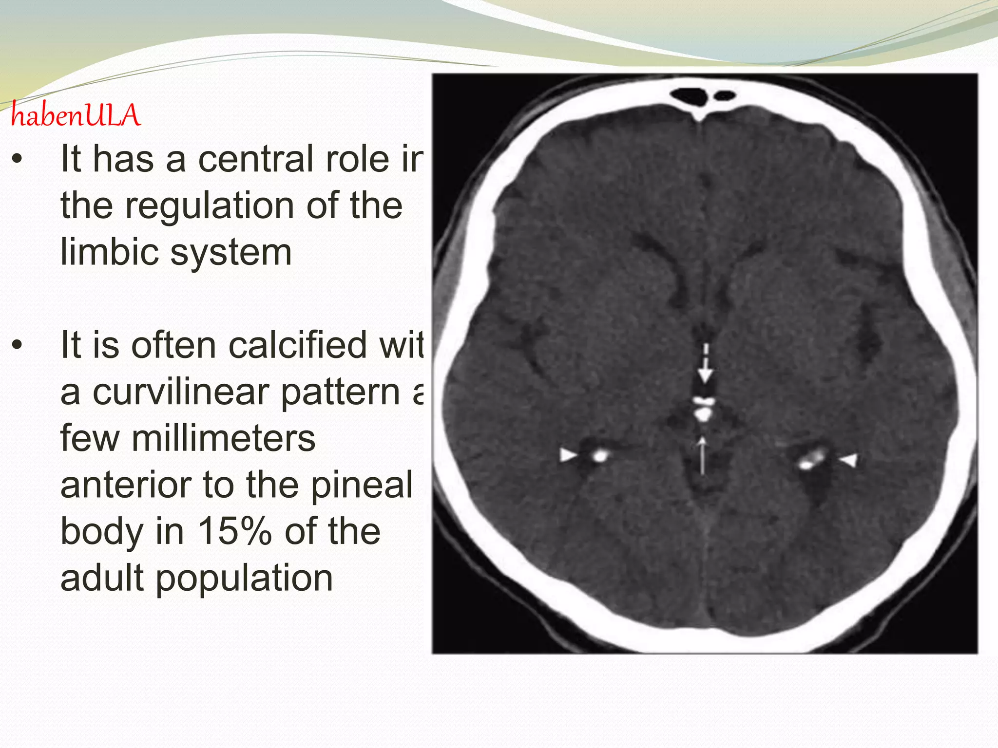 PHYSIOLOGICAL AND PATHOLOGICAL CALCIFICATION OF BRAIN | PPTX