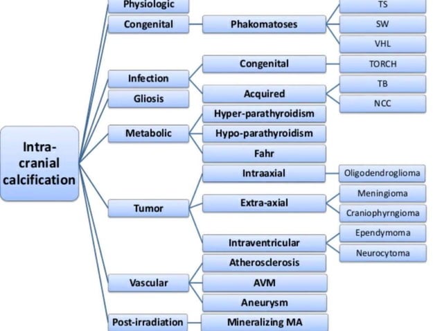 PHYSIOLOGICAL AND PATHOLOGICAL CALCIFICATION OF BRAIN | PPTX
