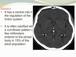 PHYSIOLOGICAL AND PATHOLOGICAL CALCIFICATION OF BRAIN | PPTX