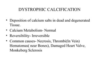 Calcification: Pathogenesis, Types, and Clinical Implications | PPTX